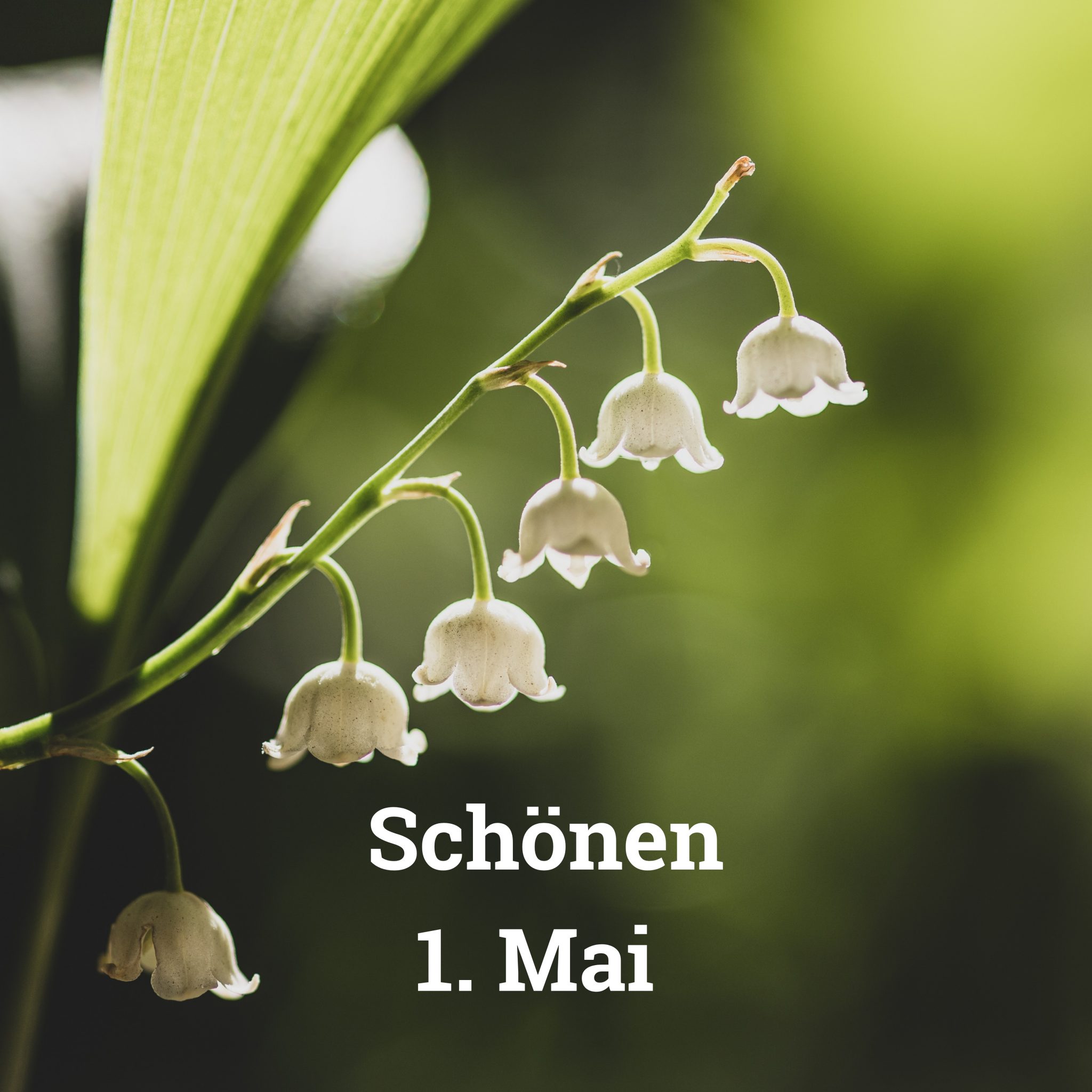 Einen schönen 1. Mai wünschen Familie Helmers und Mitarbeiter ...